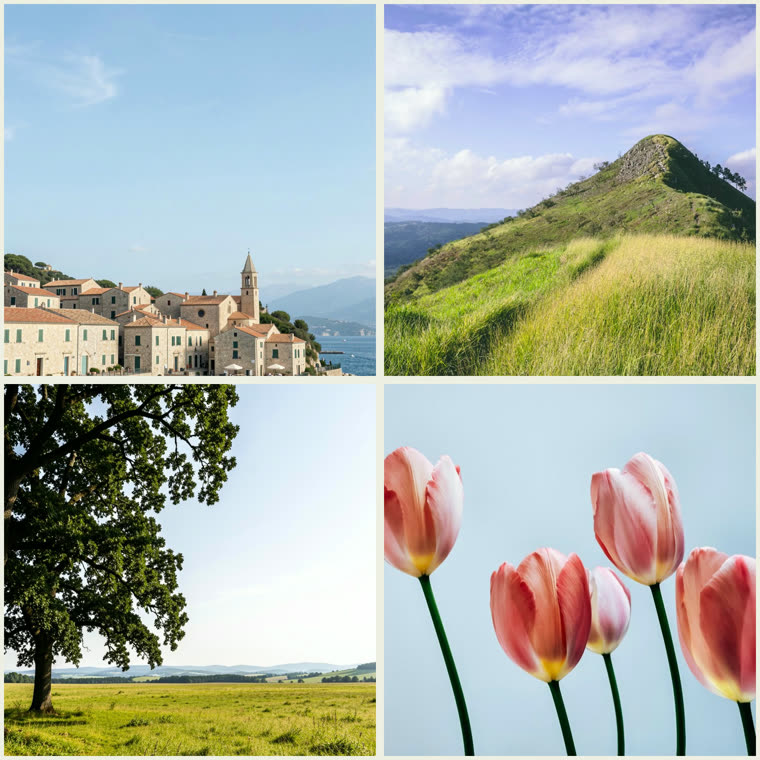 Free Photo Collage Maker — Make a Picture Collage Online | EditClips.online